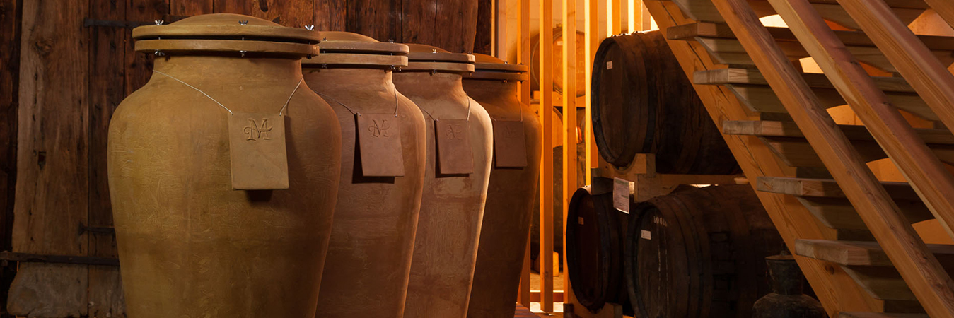 Da zero a due milioni di euro in 5 anni, storia della trentina Tava ...