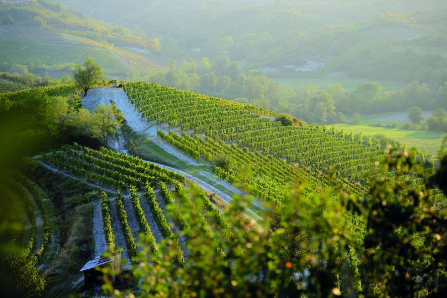 Forbes celebra il paese del bello e del buono con le "100 Eccellenze ...