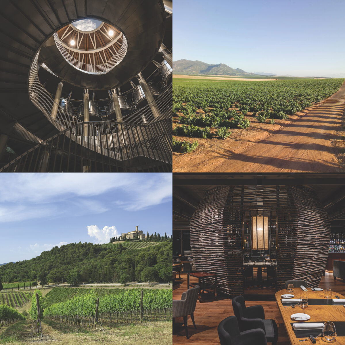 Storia dell'azienda romana che ha messo l'e-commerce in bottiglia ...