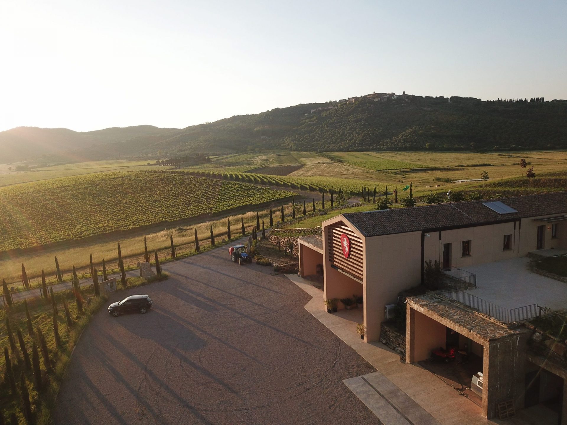 Professionalità e legame con il territorio: così Tenuta Dodici ha ...