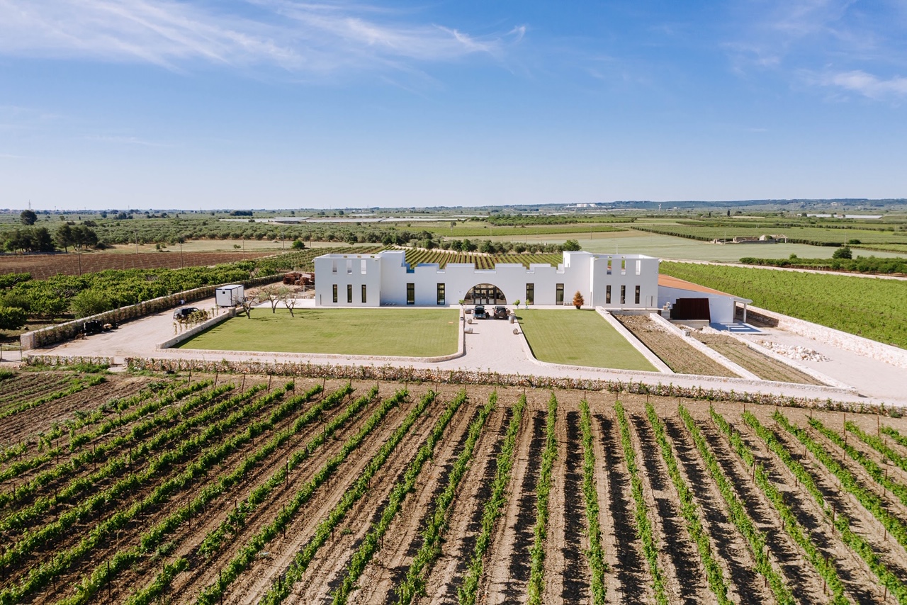 Impegno e continua sperimentazione: così Tenute Chiaromonte valorizza ...