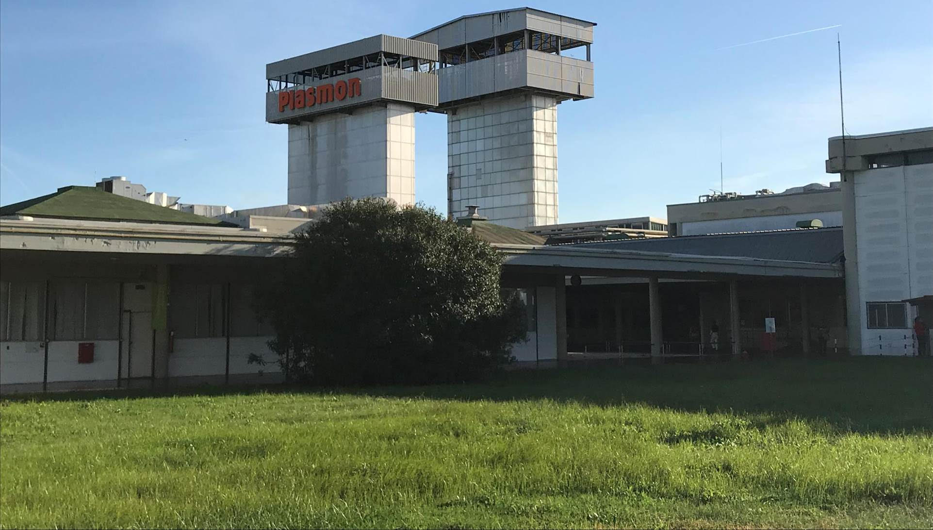 Come Plasmon vuole ribaltare il trend di denatalità in Italia | Forbes ...